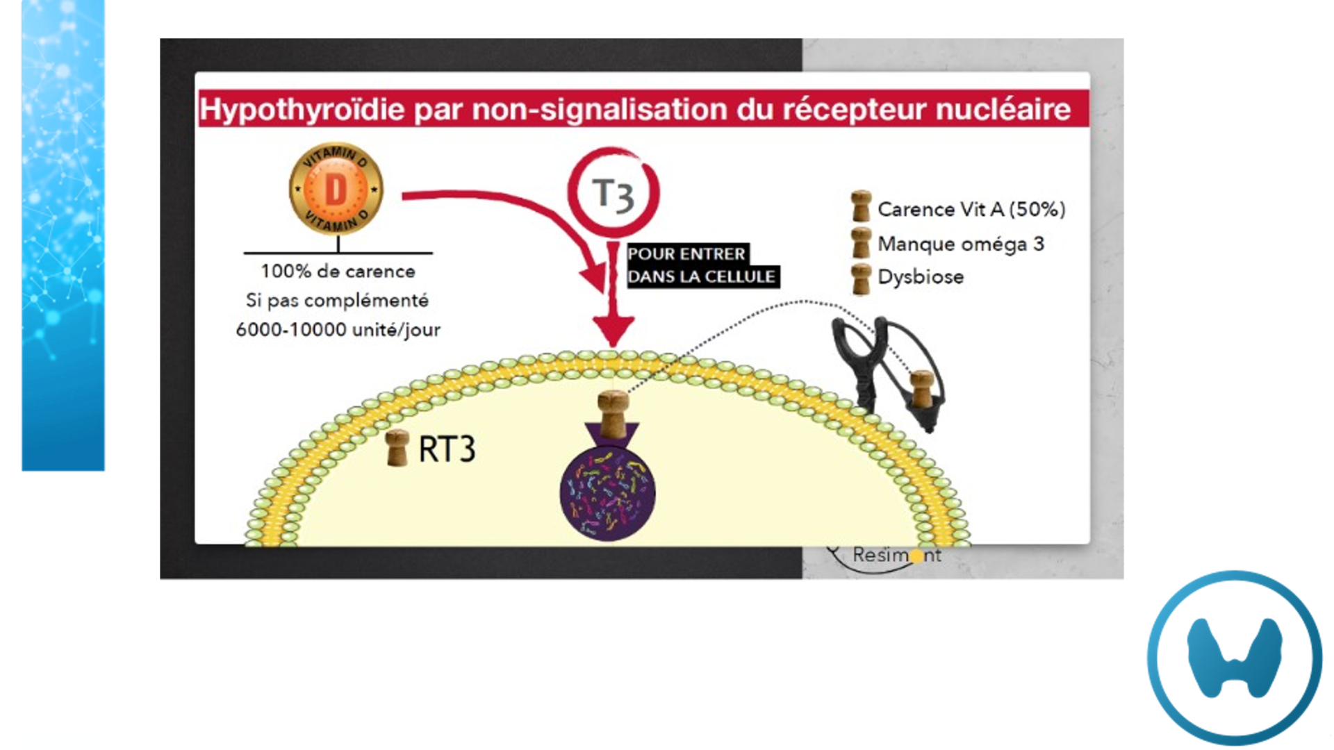 [L2] Traitement de l’hypothyroïdie : ce que vous devez savoir - Medicatrix